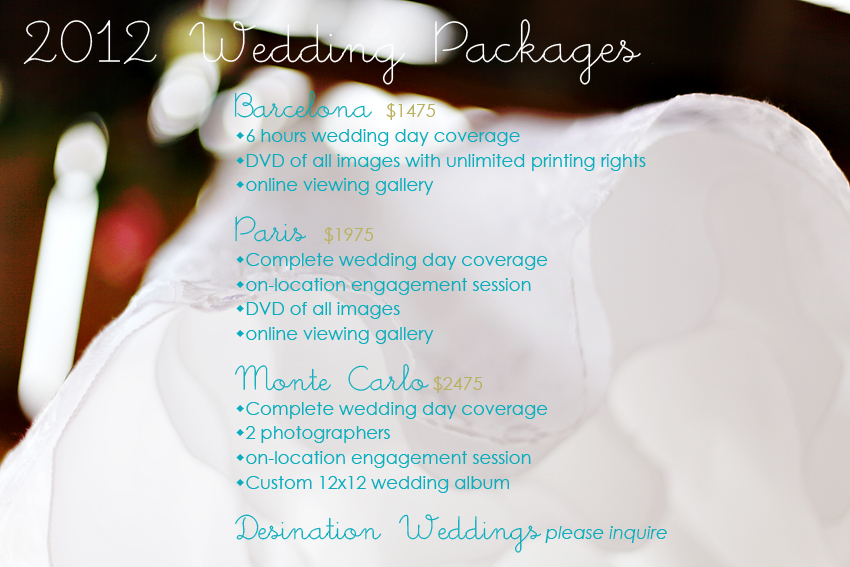 2012 wedding packages - Minneapolis St. Paul Portrait Photographer